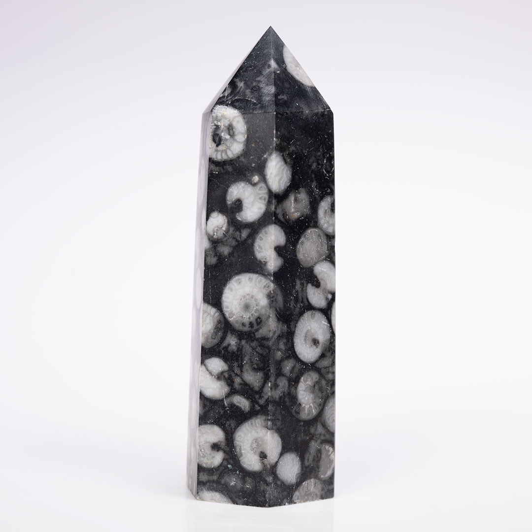 Fossil Stone Point - Majestic Crystal Wholesale
